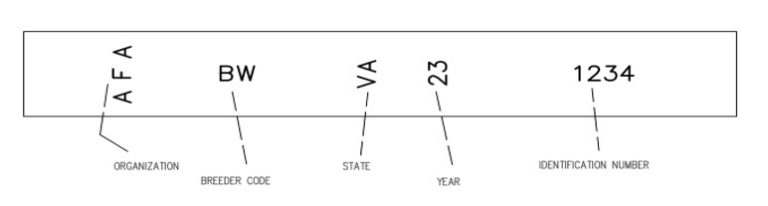 About Bird Leg Bands – American Federation of Aviculture